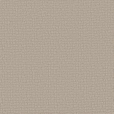 Path Home in Carpet Flooring — JP Flooring