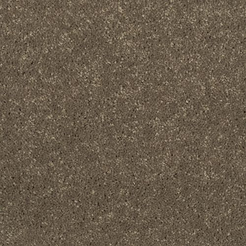 Decorative Charm in Antelope Carpet — JP Flooring