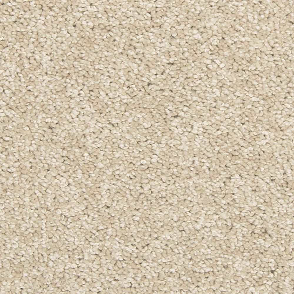 Mohawk Tectonic Carpet Flooring — JP Flooring