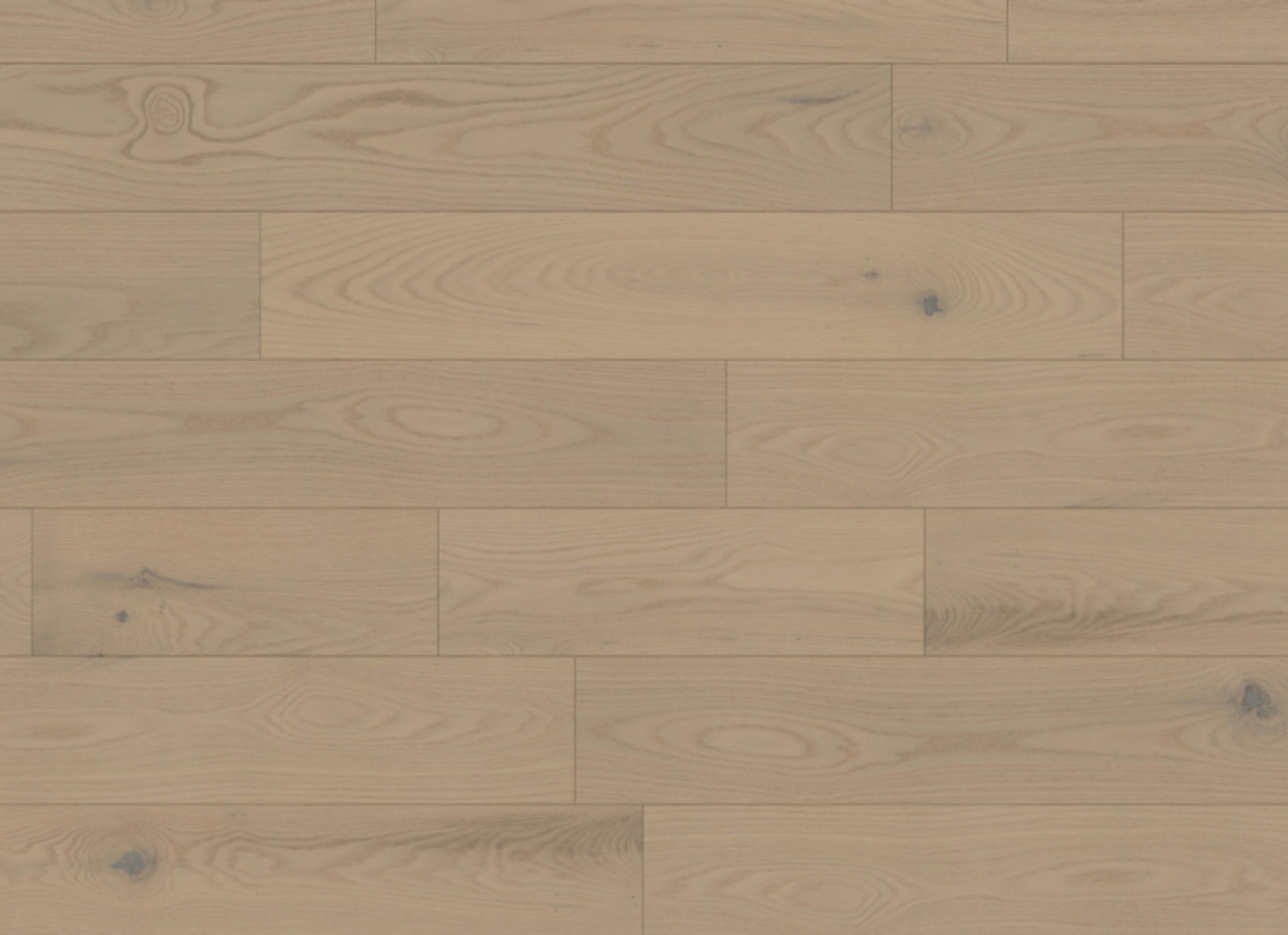 SolidClassic - Red Oak 6" in Zen Hardwood — JP Flooring